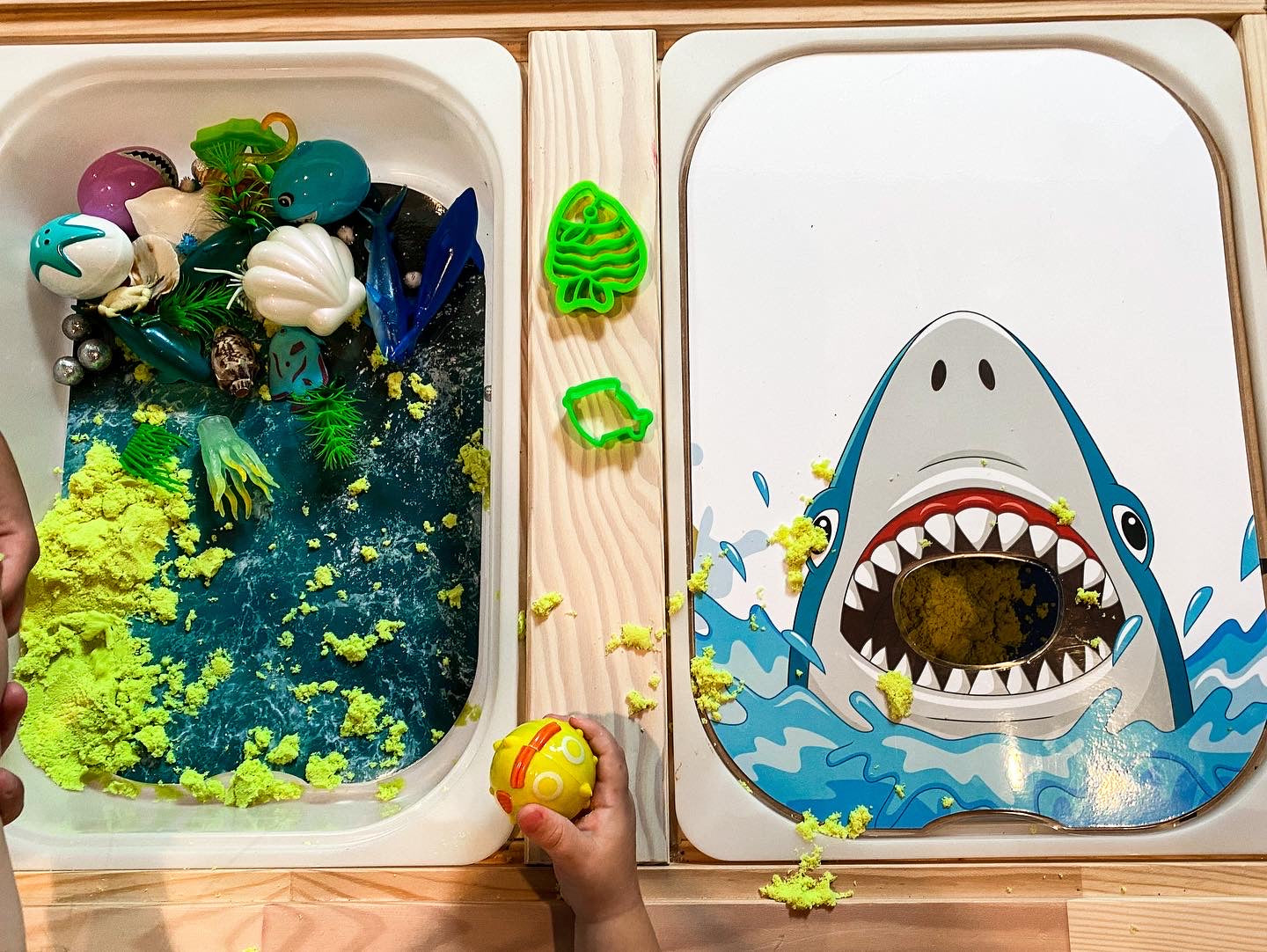 Shark Week – Practically Playing