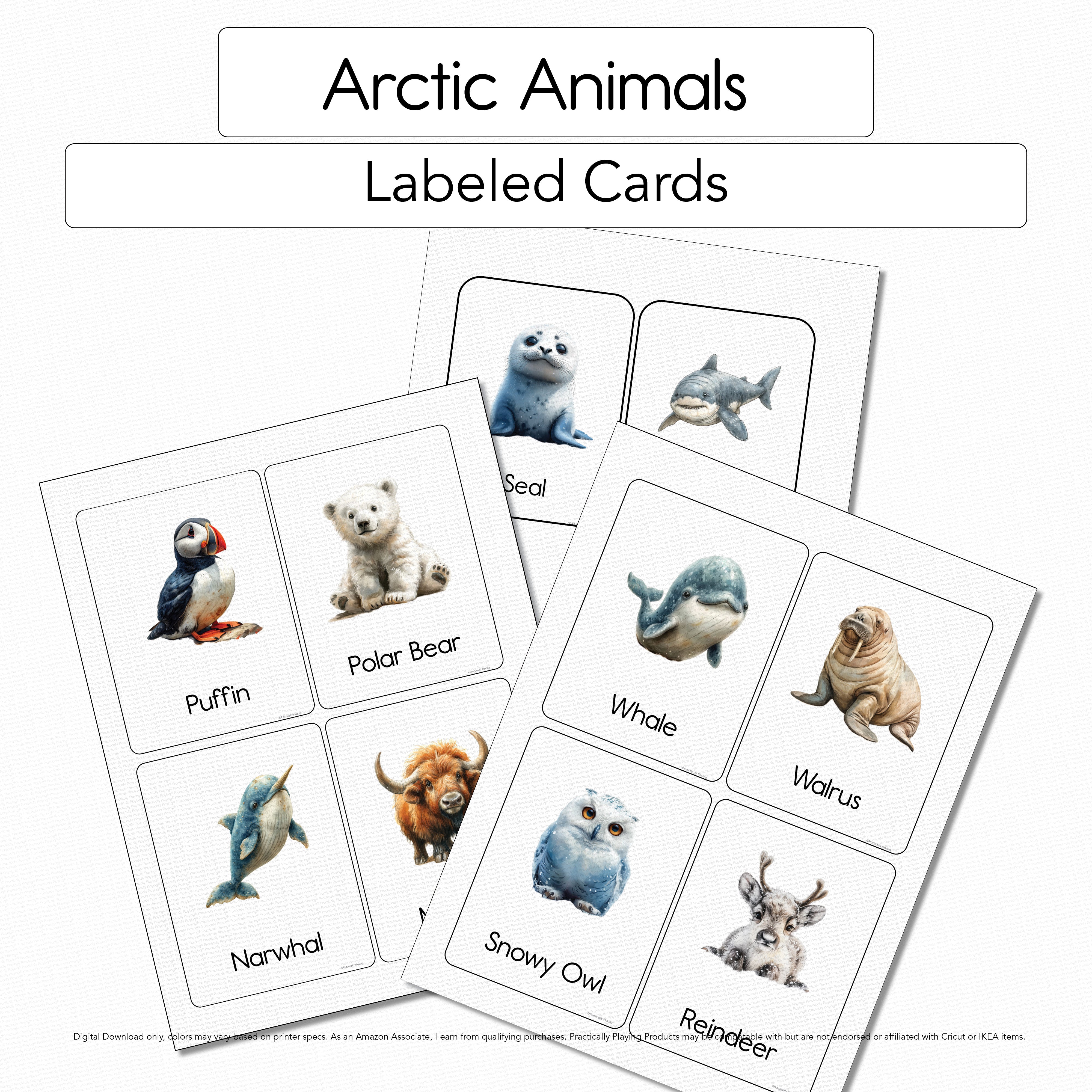 Arctic Animals - 10 Three-Part Cards – Practically Playing