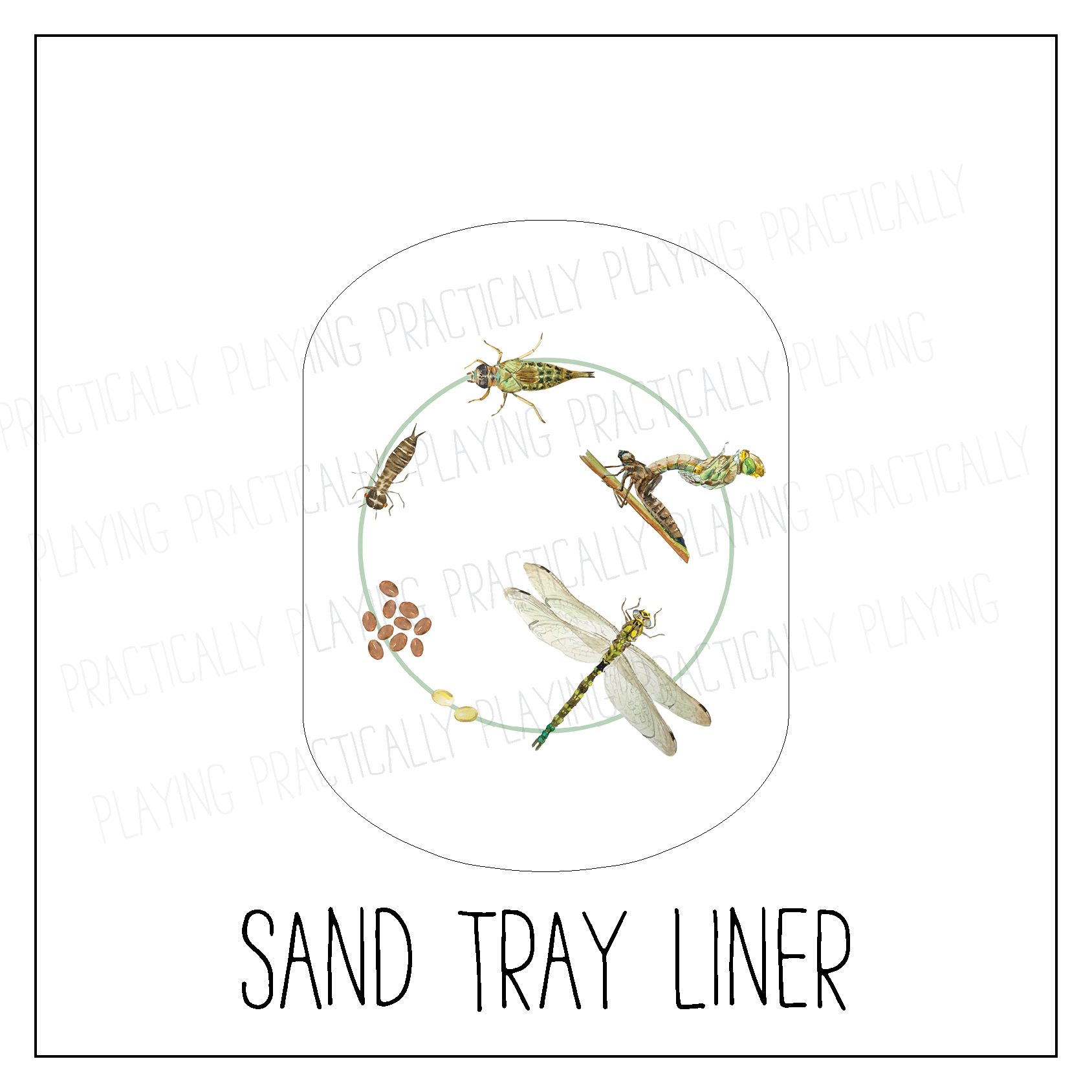 Dragonfly Life Cycle Sand/Water Tray – Practically Playing