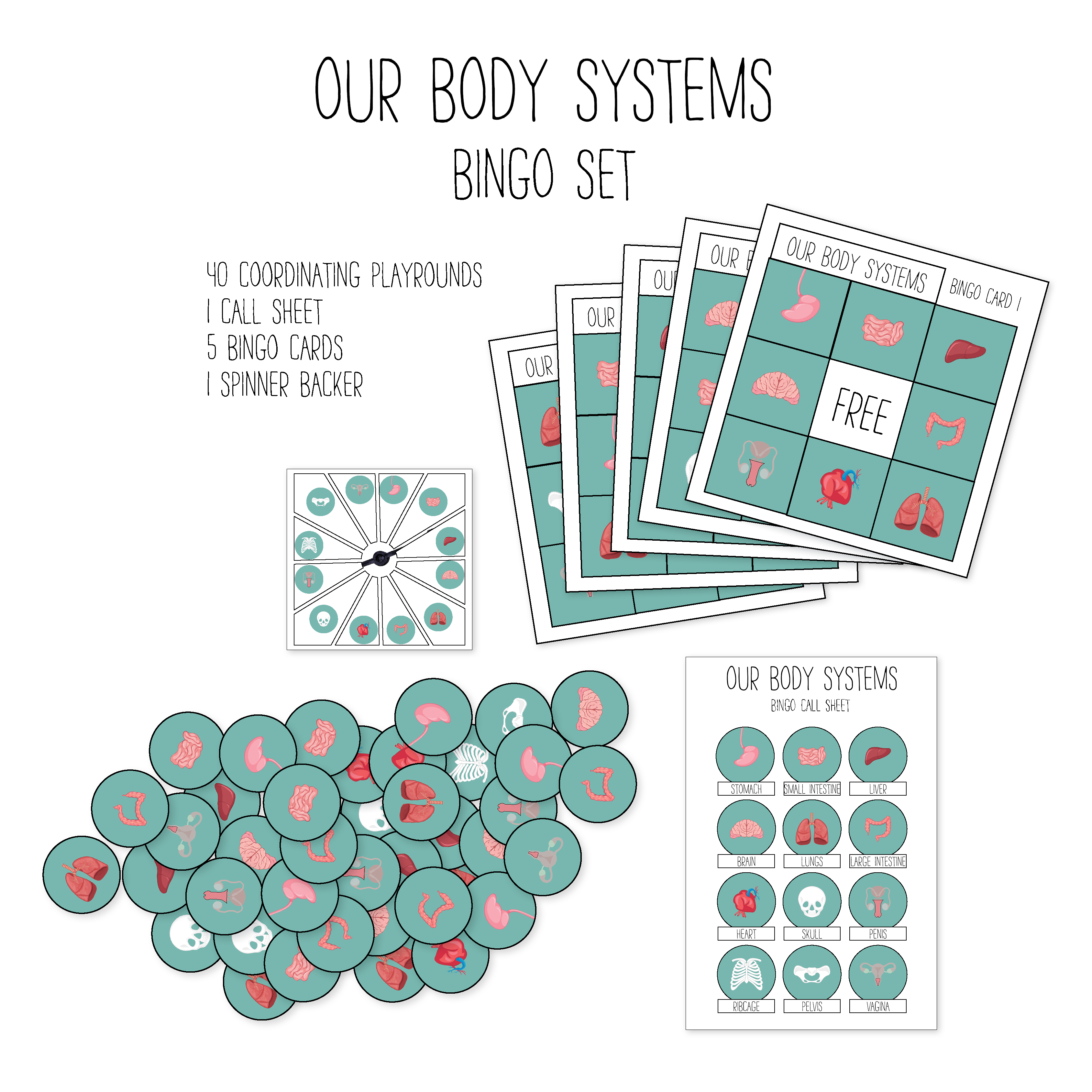 Our Body Systems Bingo Game Pack – Practically Playing