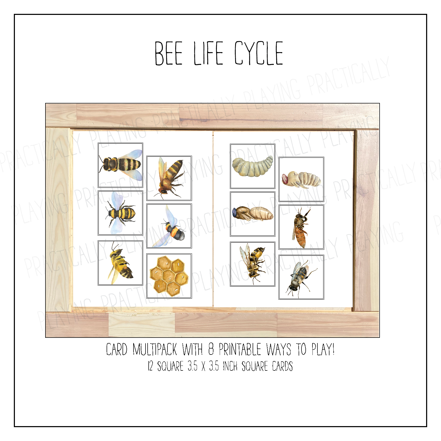 Bee Life Cycle Card Pack & Print and Fold Box – Practically Playing