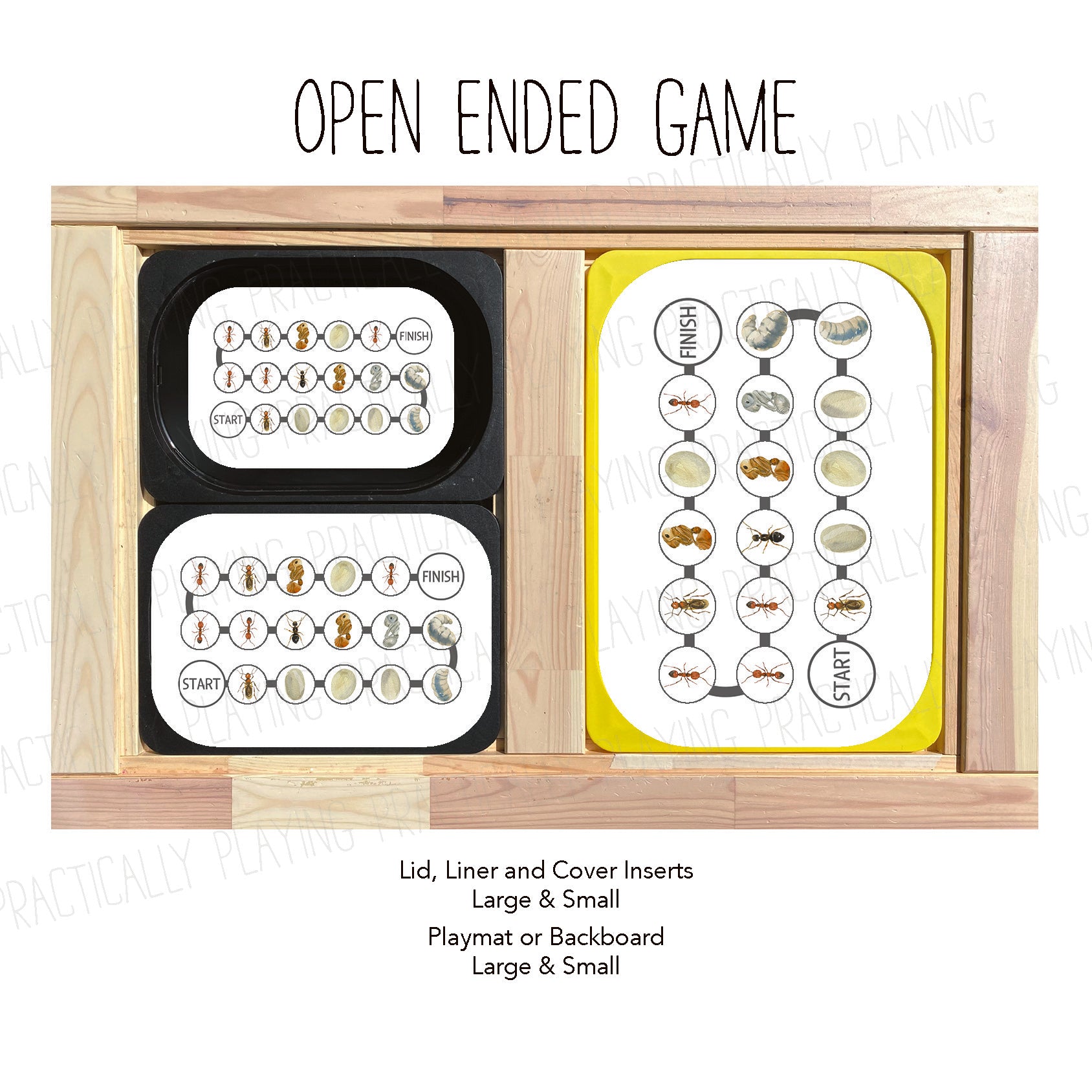 Ant Life Cycle PlayRound Open Ended Game – Practically Playing