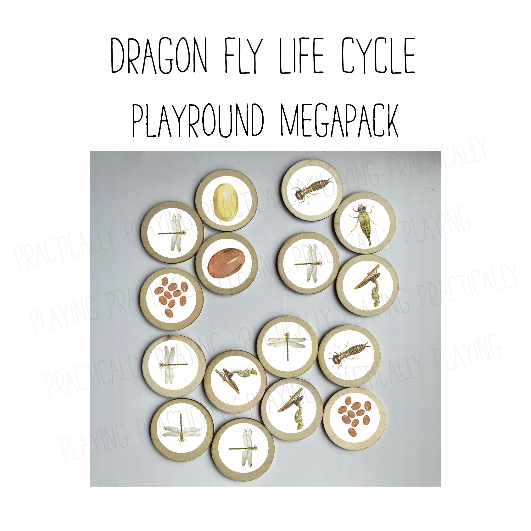 Dragonfly Life Cycle PlayRound Mega Pack – Practically Playing