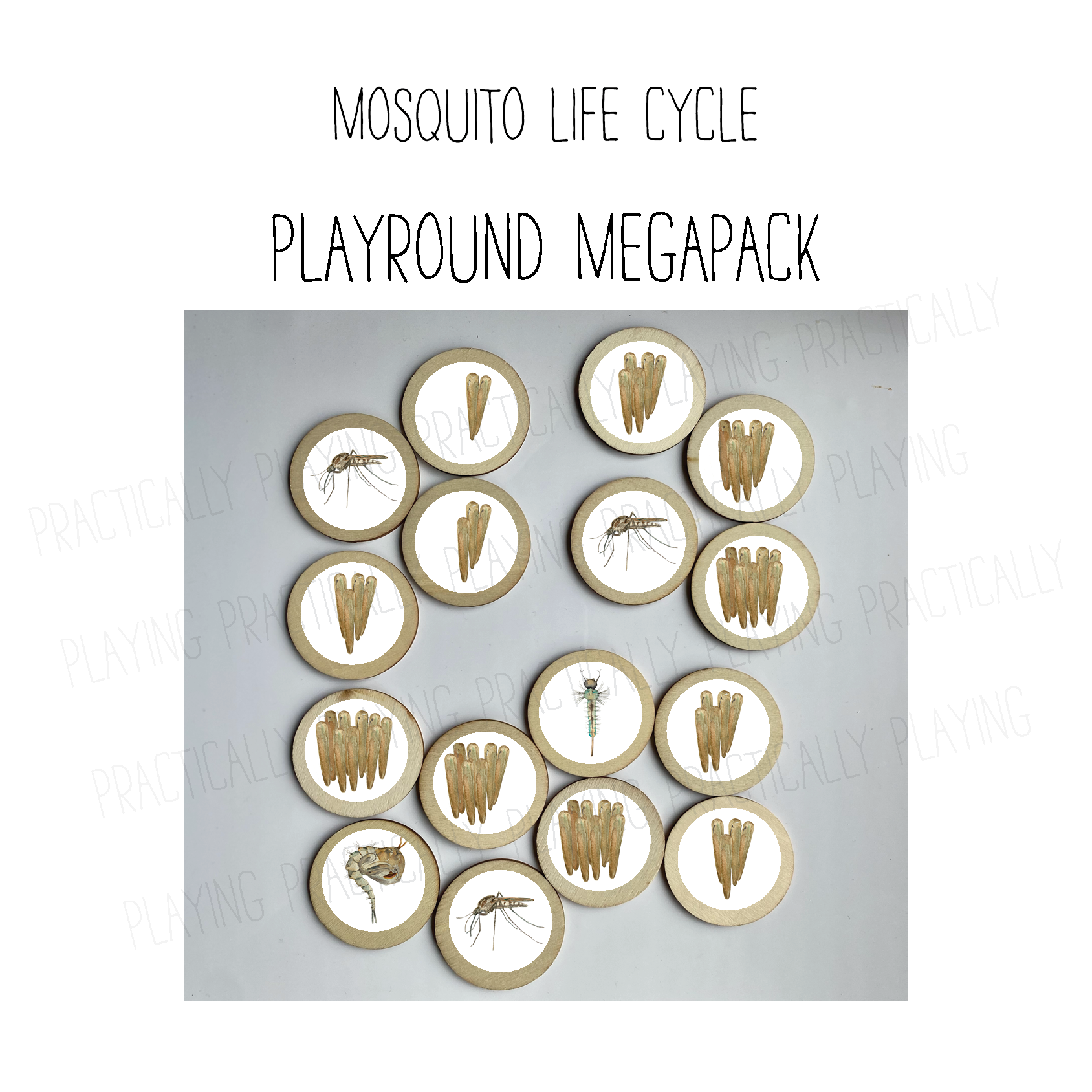 Mosquito Life Cycle PlayRound Mega Pack – Practically Playing