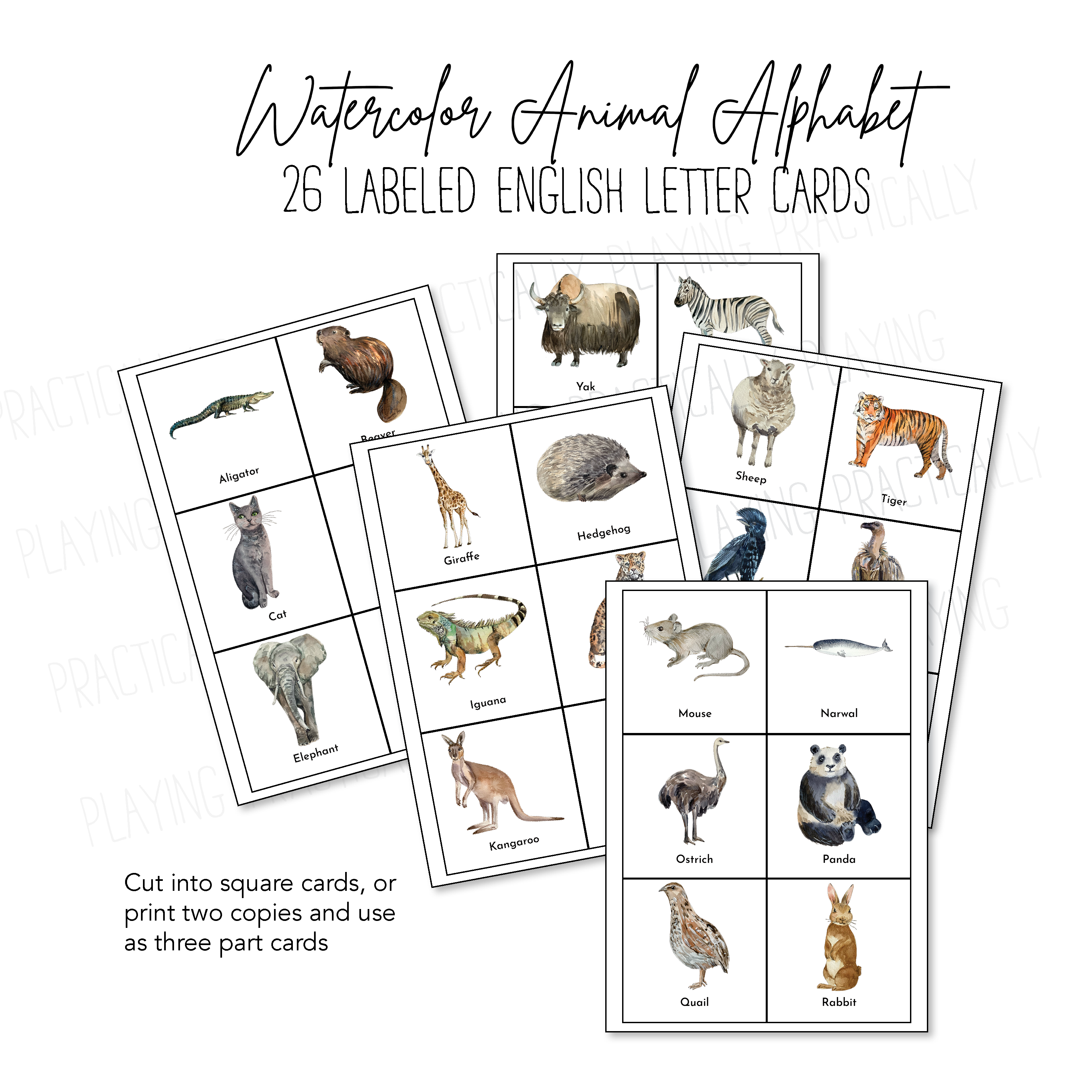 Watercolor Animal Alphabet Labeled Cards – Practically Playing