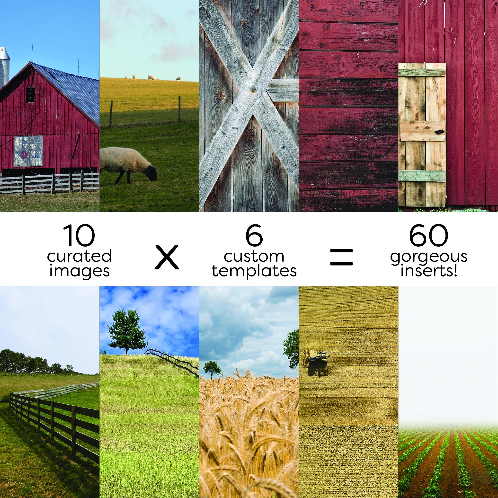 Farm Insert Pack – Practically Playing