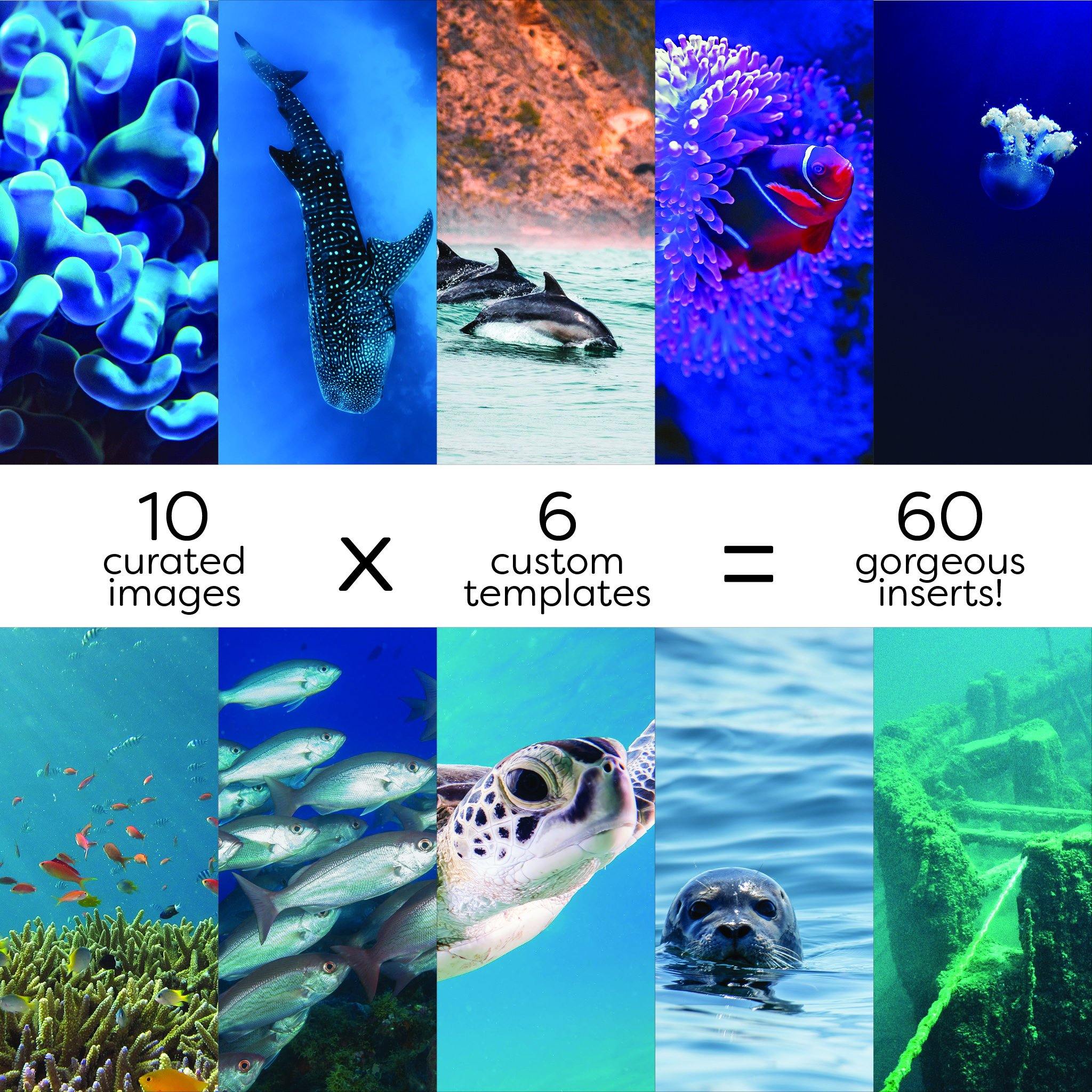 Seascapes Insert Pack – Practically Playing