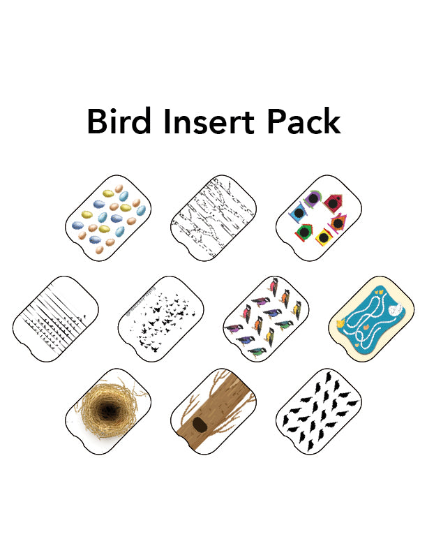 Birds Insert Pack – Practically Playing