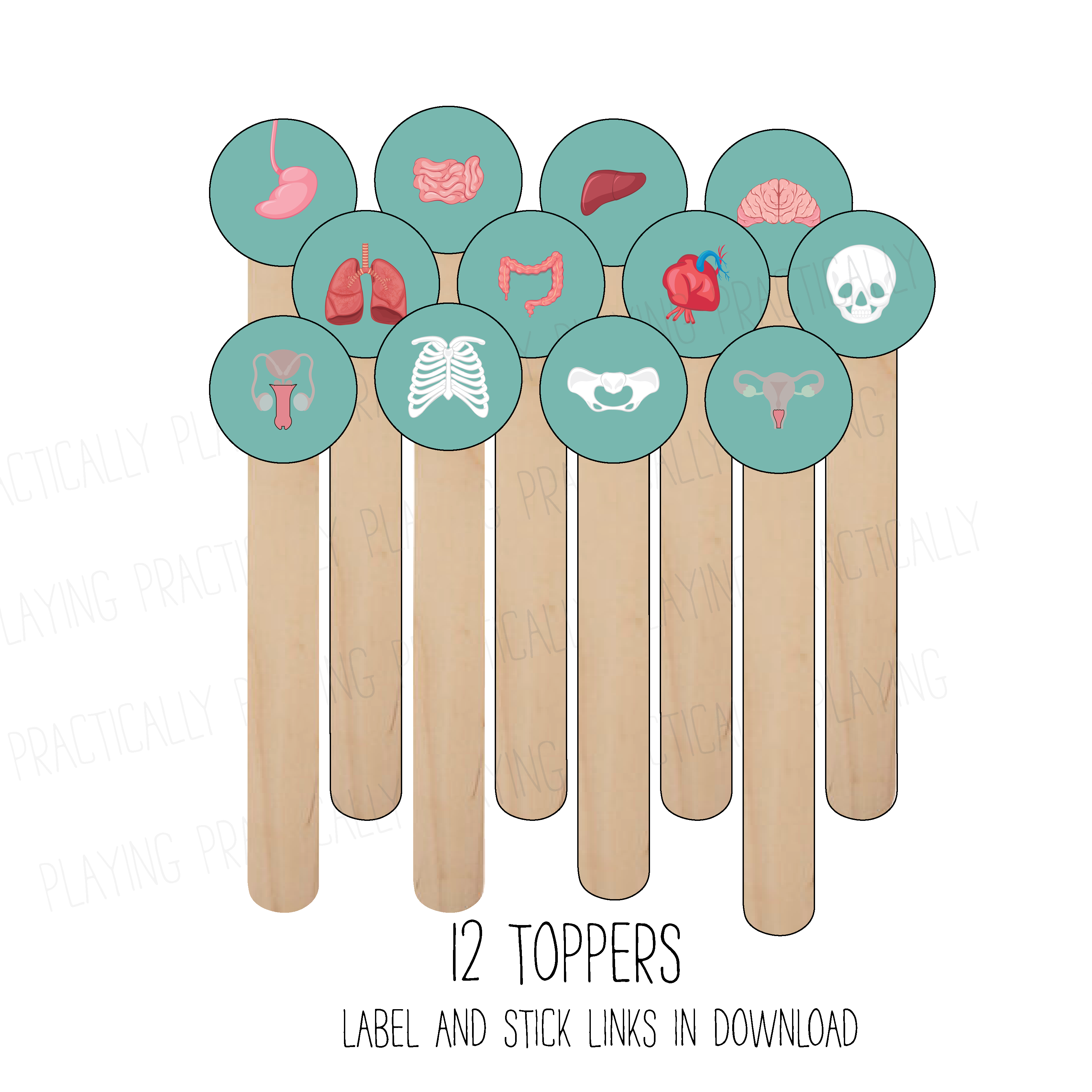 Our Body Systems Craft Stick Covers and Toppers – Practically Playing