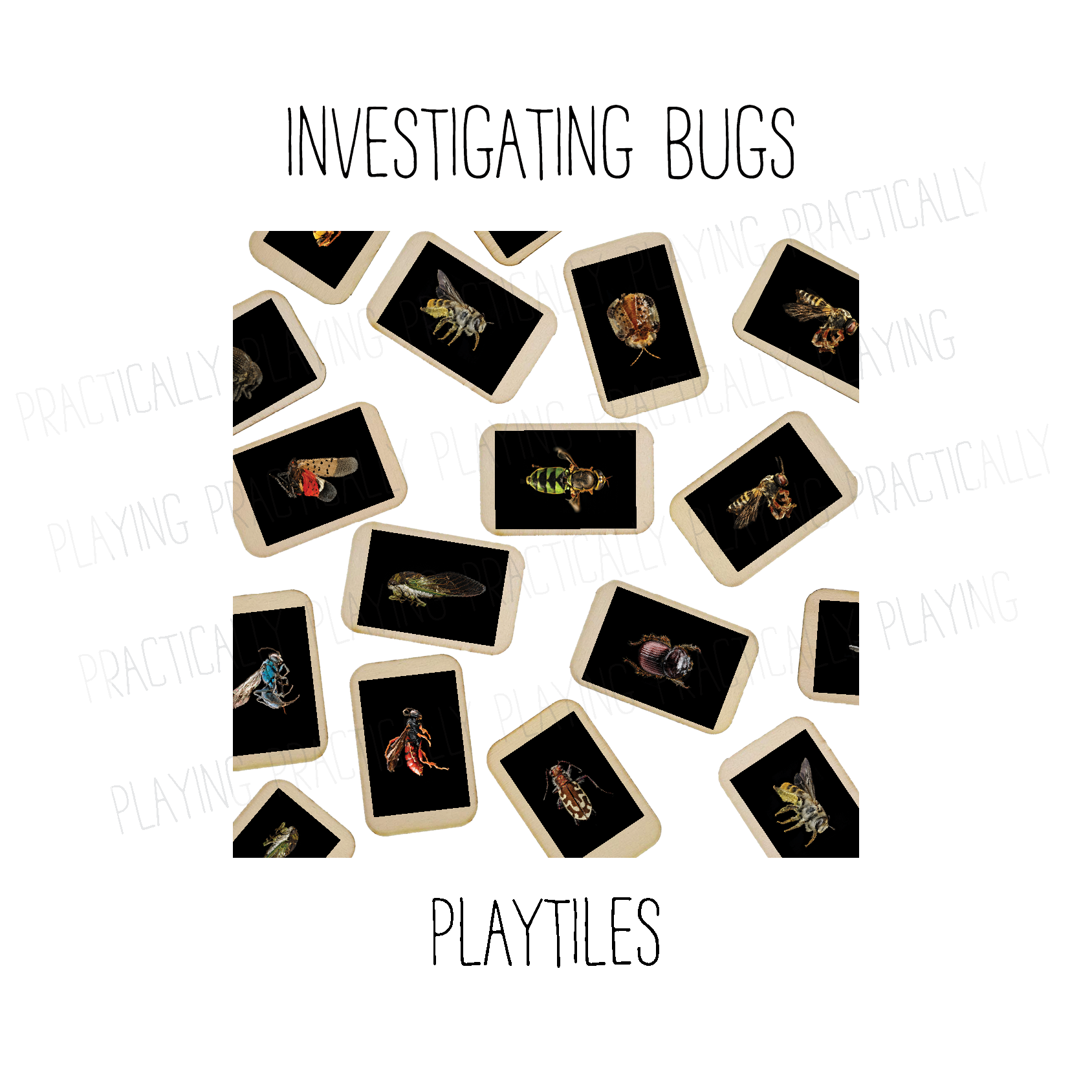 Investigating Bugs PlayTile Mega Pack – Practically Playing