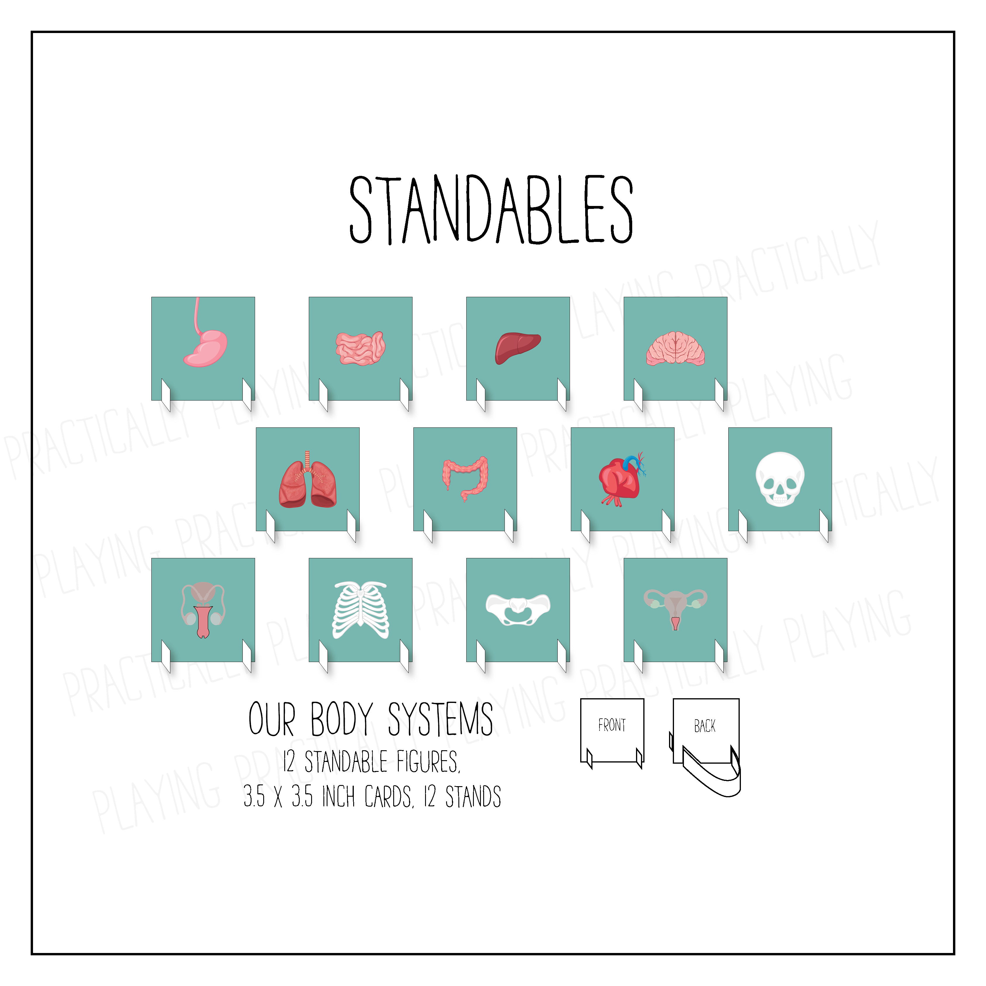 Our Body Systems Standable Pack – Practically Playing