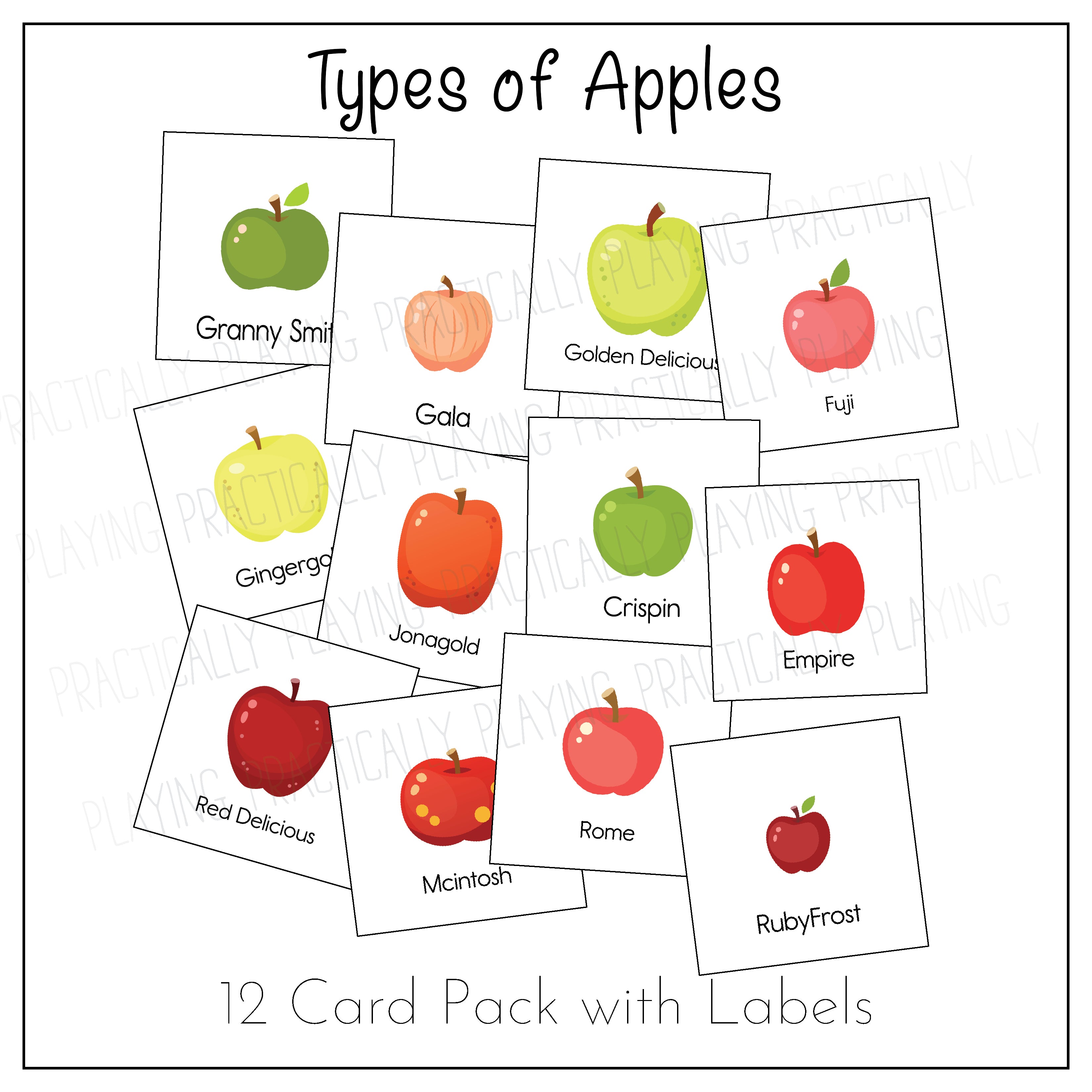 Types of Apples Game Essentials Pack: Printable Insert, Game and Loose ...